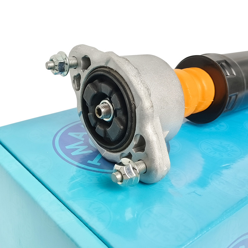 2123261030 2123200730 7 Kg Air Suspension Shock Bolt-On Installation ...