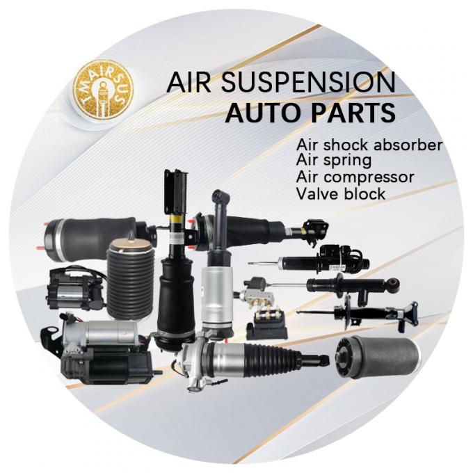 Hydropneumatic Air Suspension Shock Absorber For Mercedes CL / S ...